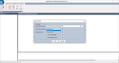 Access Database Recovery For Repairing Corrupt Damaged Databases
