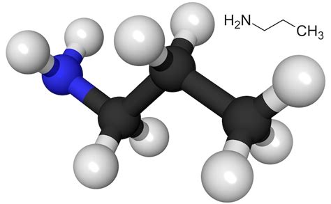 13 Best Examples Of Weak Base And Their Uses Rankred
