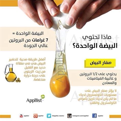 معلومات Health Facts Fitness Health Facts Food Health Fitness Nutrition