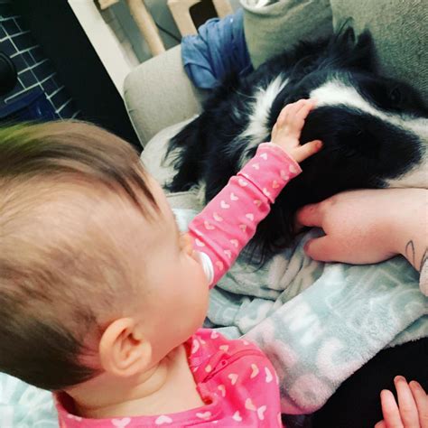 Acorn And Artisan This May Not Be The Perfect Quality Pic But Its Absolutely Perfect To Me For