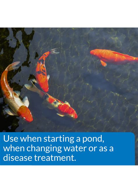 Api Pond Salt 65 Oz The Hidden Reef Inc