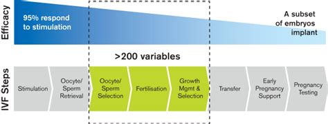 Vitrolife Together All The Way Ivf Laboratory Control