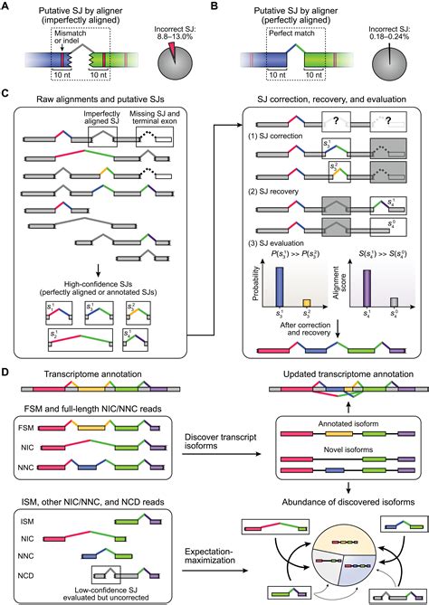 Espresso Robust Discovery And Quantification Of Transcript Isoforms