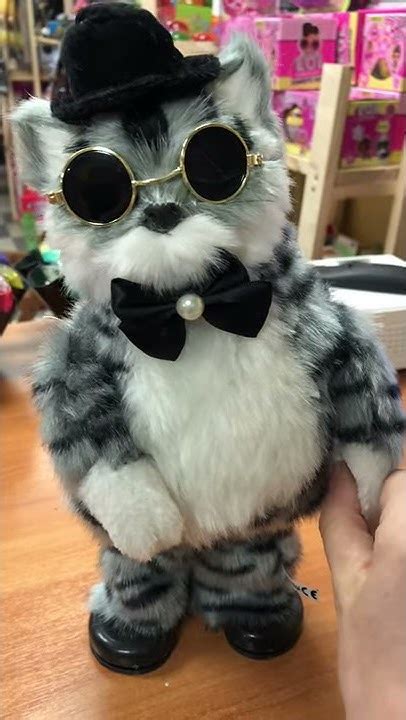 Поющий кот 18 песен Youtube