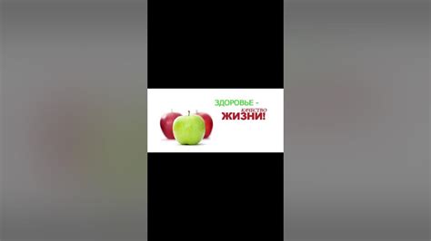 5 концепций здоровья. Новая эра. Пыльца сосны - YouTube