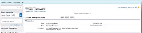 Custom Permissions In Salesforce