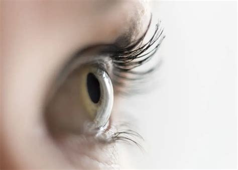 Dry Eye Treatment Ipl By Nick Maycock Eye Surgeon