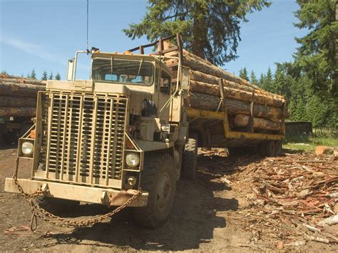 Loading Log Trucks
