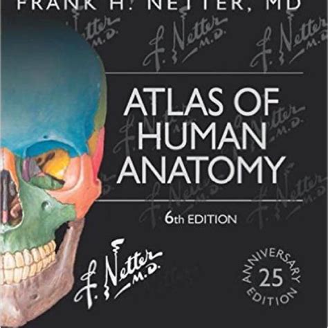 Atlas Of Human Anatomy Frank H Netter Hobbies Toys Books Magazines Textbooks On Carousell