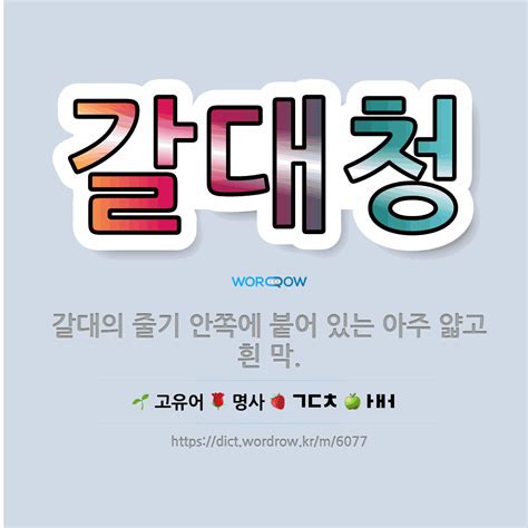 🌟갈대청 갈대의 줄기 안쪽에 붙어 있는 아주 얇고 흰 막 표준국어대사전