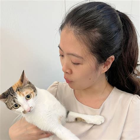 鏟屎官注意了！新研究發現對「貓、狗皮屑」過敏 女性竟明顯高於男性 祝你健康 三立新聞網 Healthsetncom
