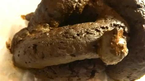 Turd Close Up 2019 02 19