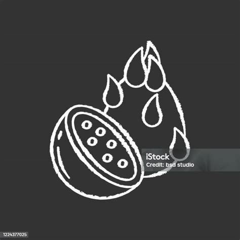 드래곤 과일 분필 아이콘입니다 피타야 조각 현지 음식 특선 요리를 탐험해 보시고 있습니다 인도네시아 섬 독특한 맛 과일 아시아 건강 식품 이국적인 열대 식물 절연 벡터 칠판