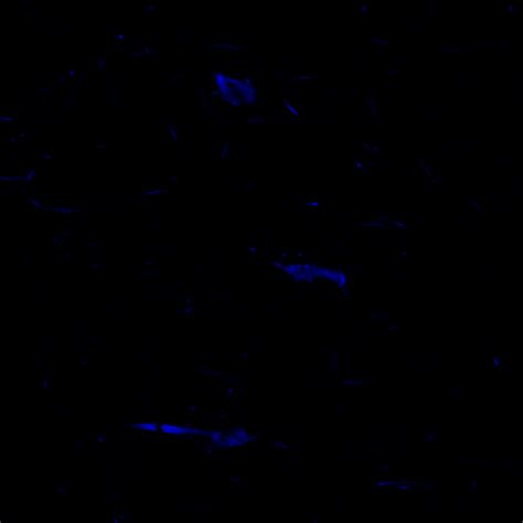 Test 1 Object Detection Dataset By Mytest