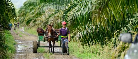 Supporting Smallholder Farmers