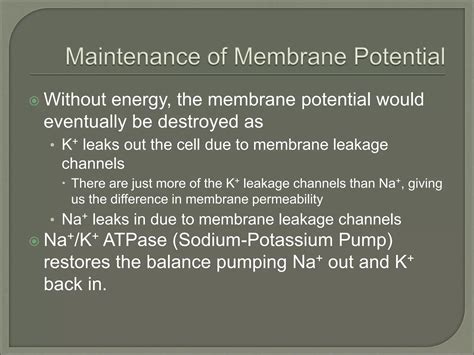 Membranepotentials2021 46887ppt