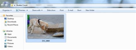 How To Check Shutter Count In Your DSLR Camera Without Spending Photopedia