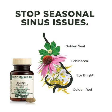 Seasonal Allergies Natural Health Improvement Center Of Idaho