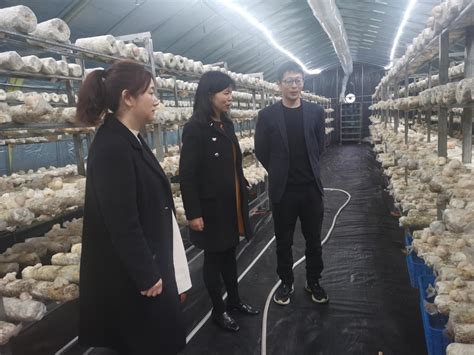 喜迎校庆，共谋发展——茶与食品科技学院走访优秀校友 茶与食品学院网站