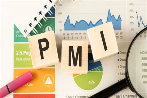 Pmi Rmp Certification Practice Test Geeks