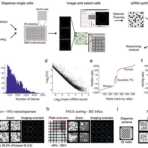 A Strt Seq 2i Workflow Overview B And C Distribution Of Molecule Download Scientific
