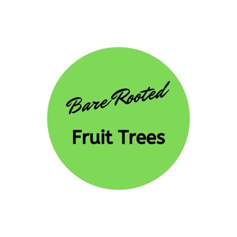 Buy Bare Rooted Trees Blerick Tree Farm
