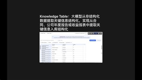 knowledge table：大模型从非结构化文档数据提取关键信息结构化，实现从合同、公司年度报告或收益报表中提取关键信息入库结构化