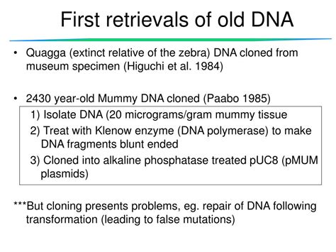 Ppt Recovery And Analysis Of Oldancient Dna Molecular Archaeology