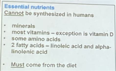 Nutrition And Metabolism Flashcards Quizlet