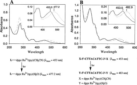 Uv Vis Absorption Spectra Of Starting Acetonitrile Complex And Their Download Scientific