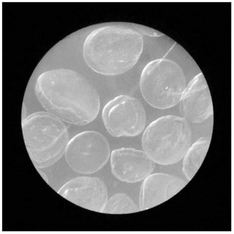Embolic Material And Preparation Method And Use Thereof Eureka Patsnap