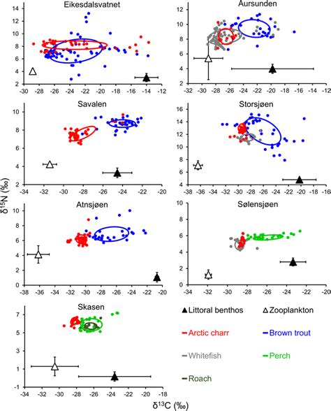Stable Isotope Biplots Showing The Mean ±sd δ¹³c And δ¹⁵n Values Of
