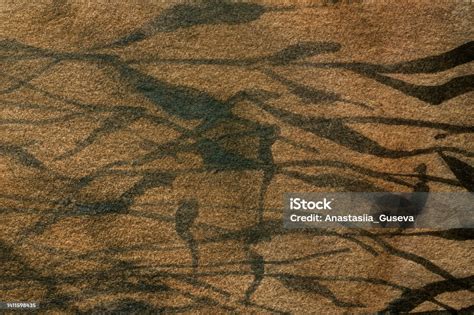 추상 예술 짙은 갈색 배경색 검은 선과 그라디언트가있는 캔버스에 수채화 그림 갈색에 대한 스톡 사진 및 기타 이미지 갈색 검은색 공예 Istock