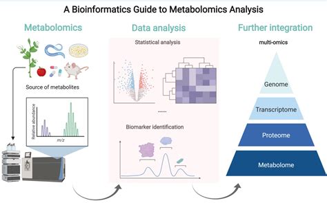 Guide to Metabolomics Analysis: A Bioinformatics Workflow