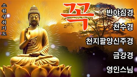 하루 1번만 들어라 소원이 실현되는 건강부자성공풍요행운행복재물소원성취 행운 🙏 관세음보살 5시간 영인스님 Youtube