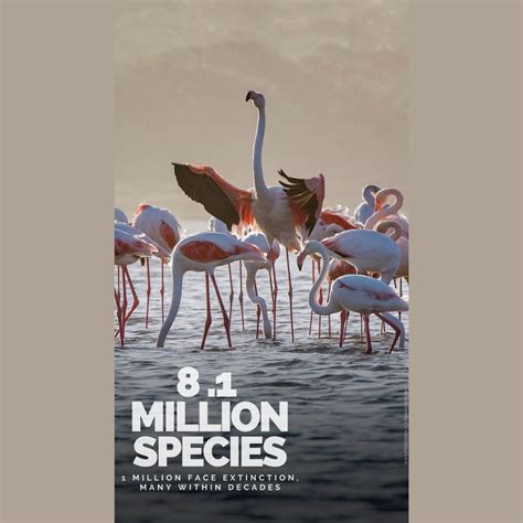 810万種の生物が住む地球。うち100万種が絶滅の恐れがあり、多くは数 国連広報センター Unic Tokyo Facebook