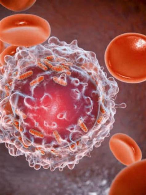 Virus Evolution 5 Shocking Ways Viruses Mutate To Threaten Humanity