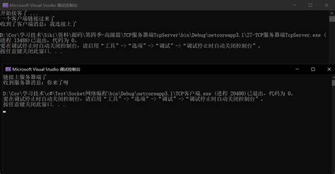 C Socket网络编程 二 TCP服务器端和客户端连接 小羊Coyang 博客园