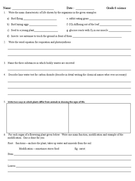 Revision Worksheet 1 Grade 6 Pdf Excretion Plants Worksheets
