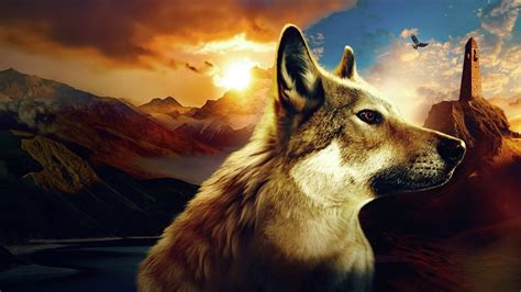 Абрек. Фильм о фильме —Apple TV (RU)