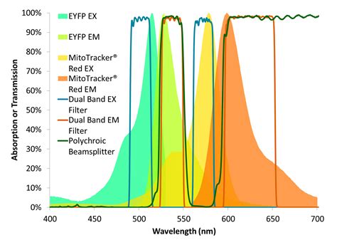 Next Generation Thin Film Optical Filters For Life Sciences Alluxa