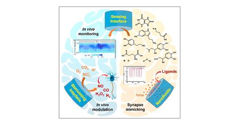 New Opportunities Of Electrochemistry For Monitoring Modulating And