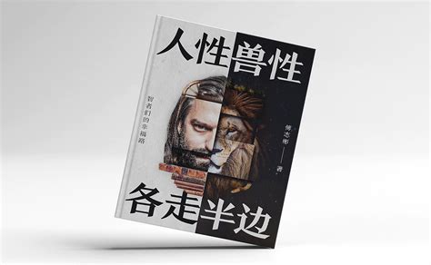 书籍封面装帧书装画册简大湿 站酷zcool