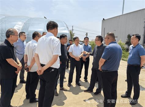 农业农村部农药检定所来皖开展豇豆农残治理包省督导调研种植监管生产