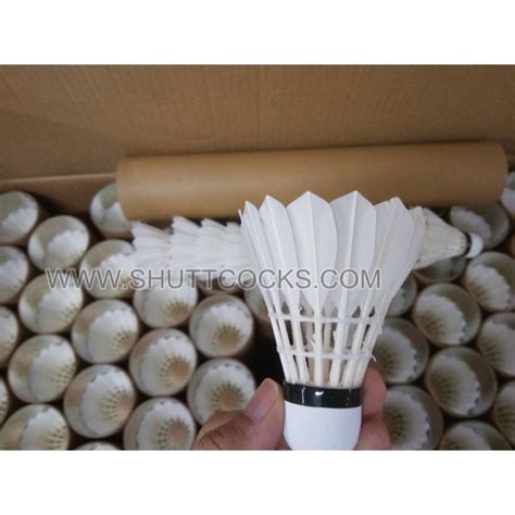 ลูกแบดสำหรับฝึกซ้อม มือใหม่ 10หลอด Shopee Thailand