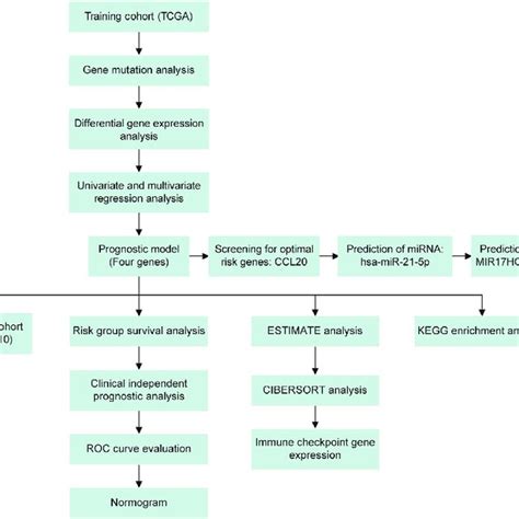 A Summarized The Type And Frequency Of All Chemokine Somatic Cell