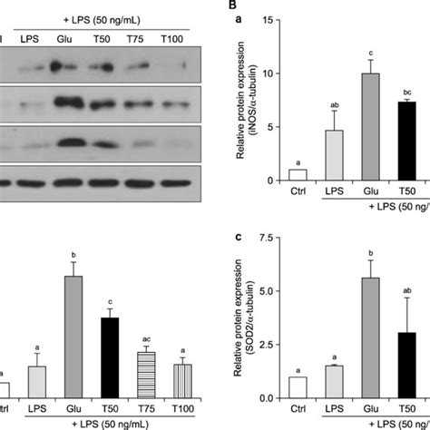 The Chemical Structure Of Turanose Download Scientific Diagram