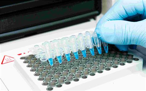 Challenges Of Oligonucleotide Drug Development