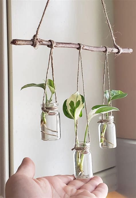 Home Decor Hanging Plants Ideas Stunning And Awesome Ideas Artofit