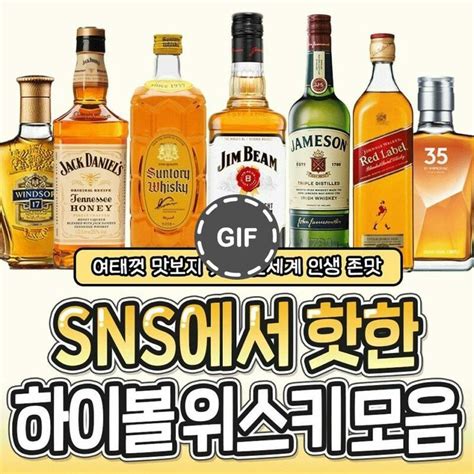 맥주보다 더 많이 찾는 Sns에서 핫한 존맛 하이볼 위스키 지식사이트 위스키 알코올 음료 버본 위스키